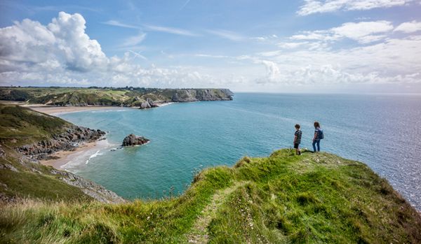 Best Spring Walks and Nature Spots in West Wales - Teifi Taxis ...